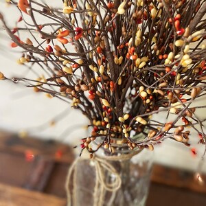 Fall Pip Berry Stems, Rustic Brown Branches, Autumn Decor, Buffet ...