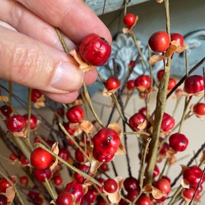 Fall Flowers, Bittersweet Branch Bouquet, Orange Berry and Twig Flower ...