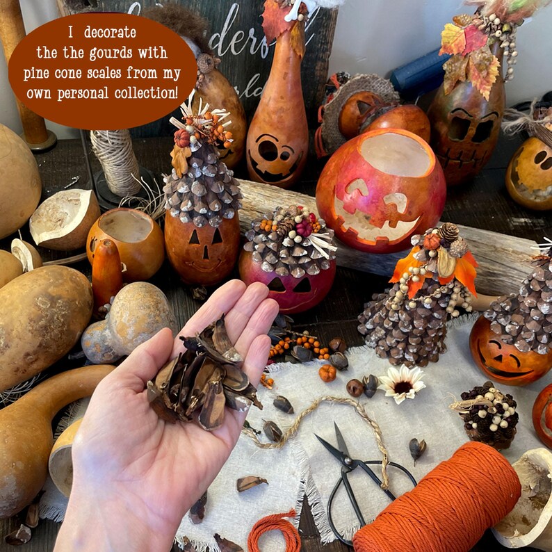 Fall Gourd, Silly Halloween Pumpkin Decor With Candle, Autumn Table ...