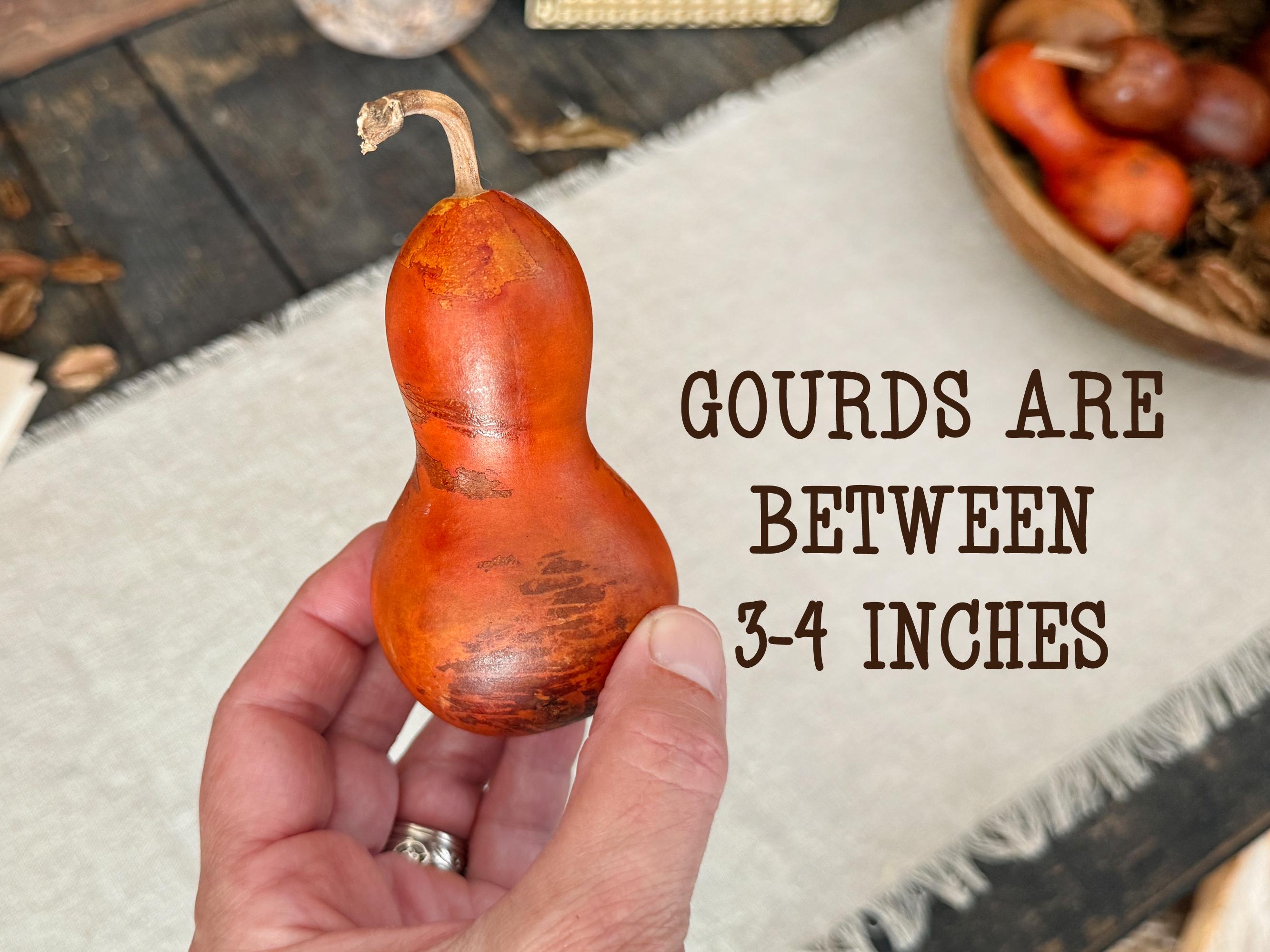 Real Dried Gourds, Fall Table Decor, Natural Wooden Dough Bowl Filler ...