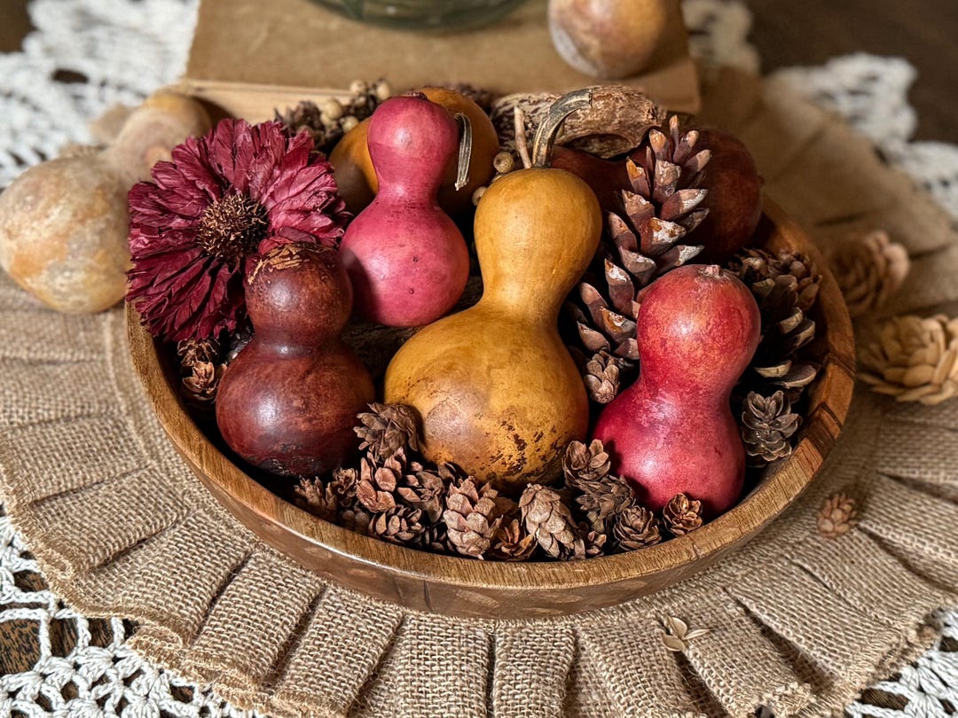 Real Dried Gourd, Fall Table Decor, Natural Wooden Dough Bowl Filler ...