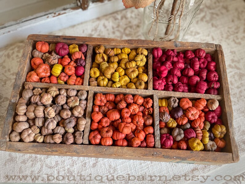 Little Fall Pumpkins, Vase or Bowl Filler, Natural Dried Putka Pods ...