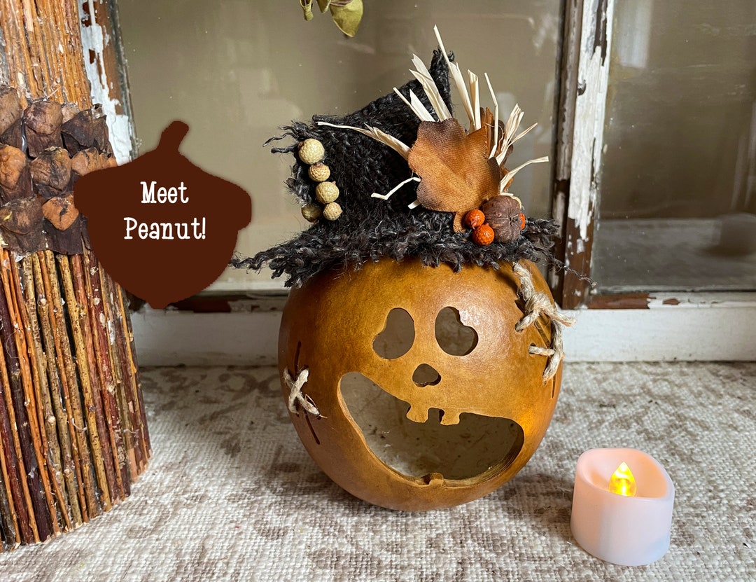 Fall Gourd Deco, Halloween Pumpkin Decoration, Gourd Pumpkin, Whimsical ...