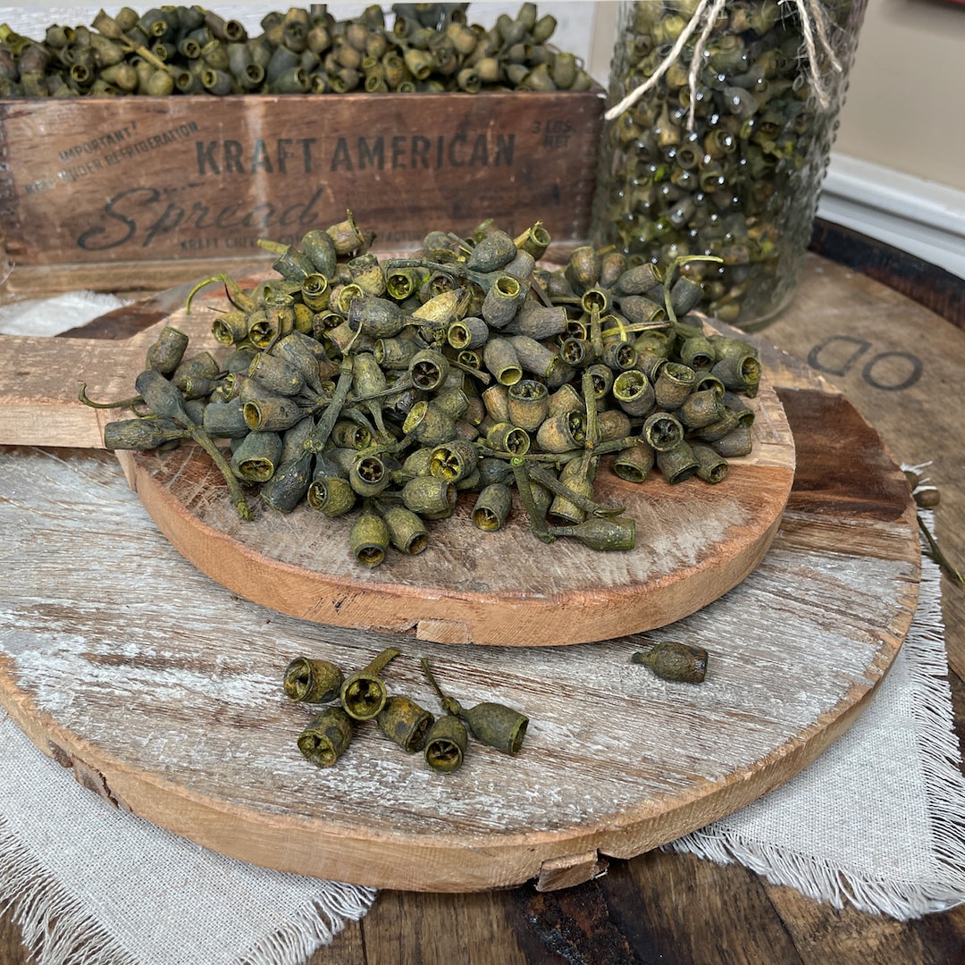 Bowl Filler, Natural Dried Botanicals, Dough Bowl Filler, Spring Table ...