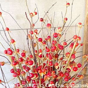 Fall Flowers, Bittersweet Branch Bouquet, Orange Berry and Twig Flower ...