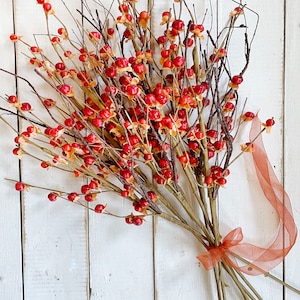 Fall Flowers, Bittersweet Branch Bouquet, Orange Berry and Twig Flower ...