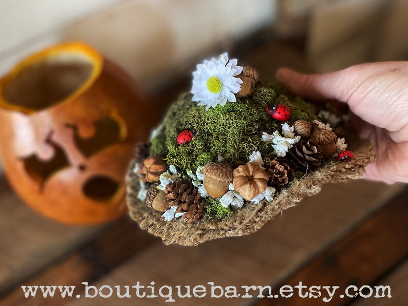 Carved Gourd Fall Gourd Woodland Fairy Decor Fairy Light - Etsy