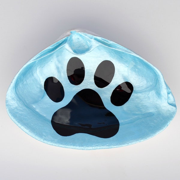Cats Paw Shell - Etsy