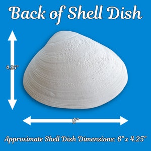 Turtle Shell Dish - Spoon Rest, Ring Holder, Jewelry Holders, Trinket ...