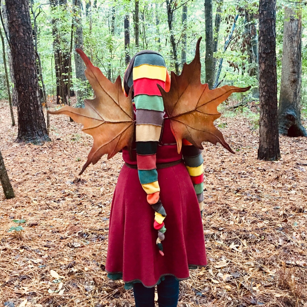 Fall Fairy Wings