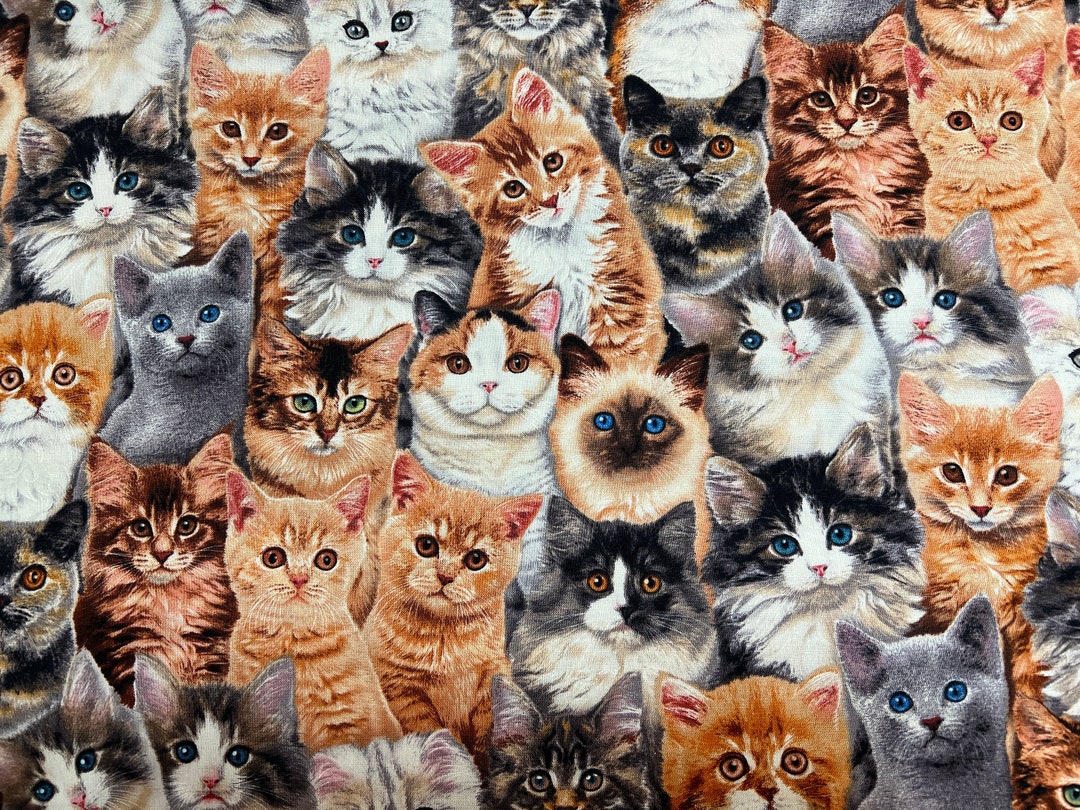 Adorable Cat Fabric by the Yard Made by Elizabeths Studio 100% Cotton ...