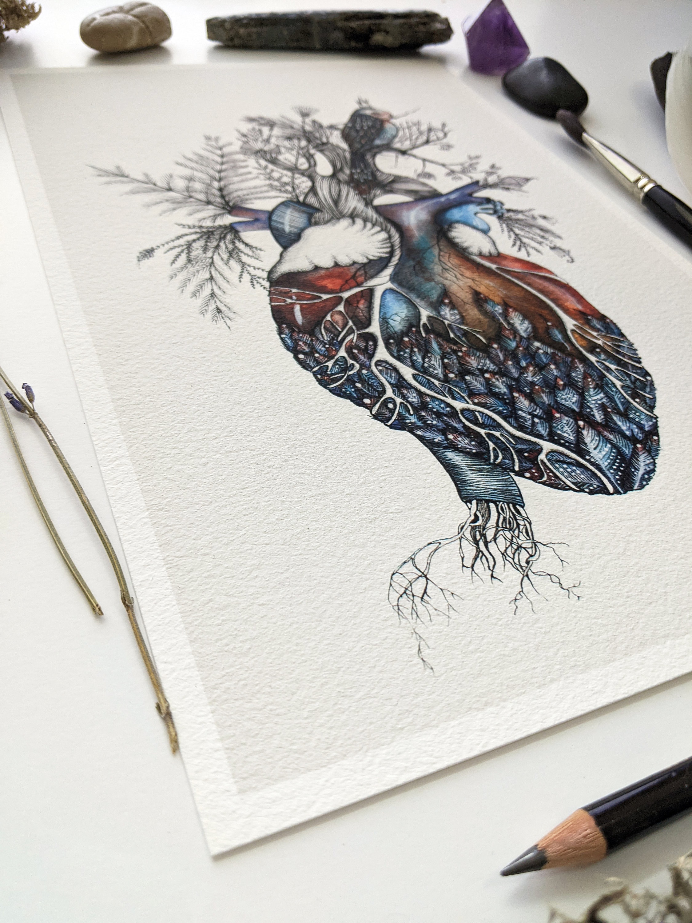 Anatomical Heart Art Print / Floral Illustration / Original Watercolour ...
