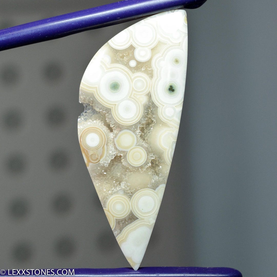 Rare Agatized Ghost White Botryoidal Orbicular Druzy Ocean Jasper ...