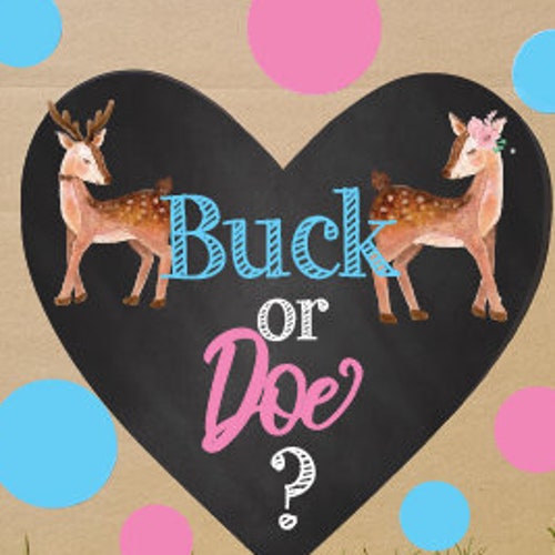 Buck or Doe Gender Reveal Box Sign Gender Reveal Box - Etsy