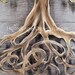 Tree of Life Infinity Tree Wall Decor Wall Art - Etsy