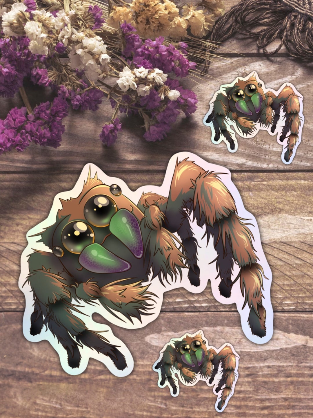Holographic Cute Jumping Spider Sticker, Nature Inspired Waterproof ...