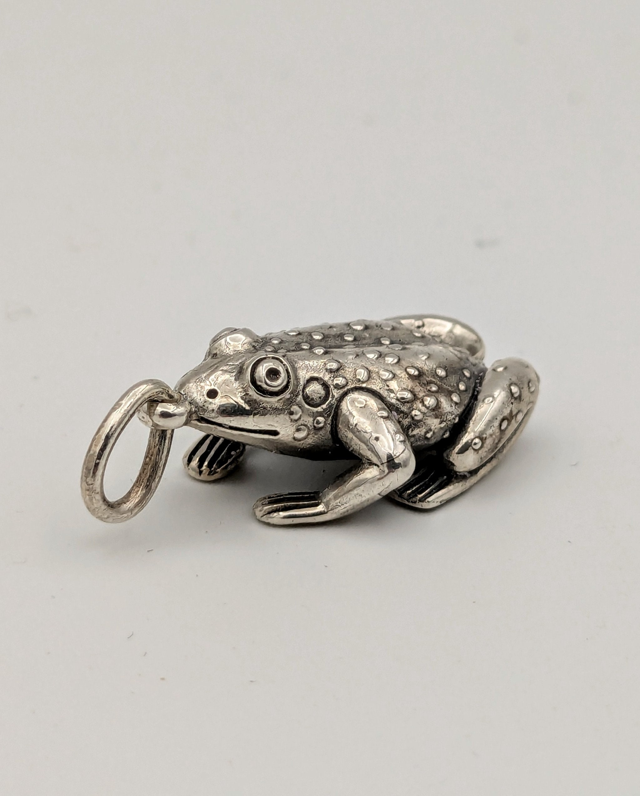 Silver Frog - Etsy