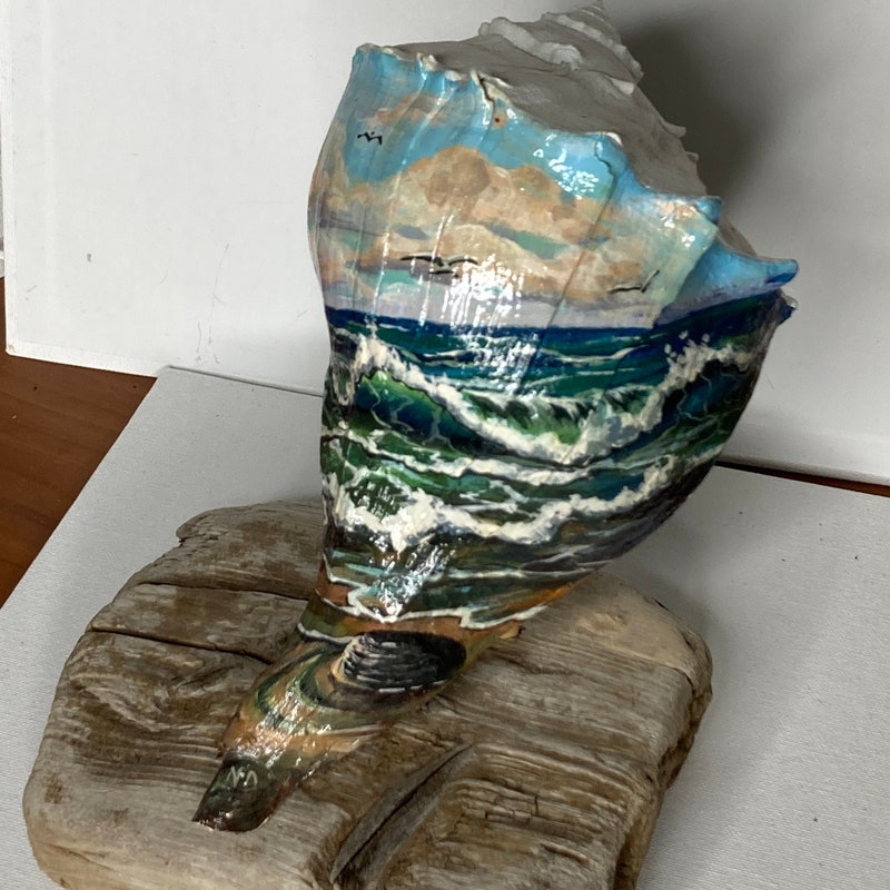 Conch Shell Art - Etsy