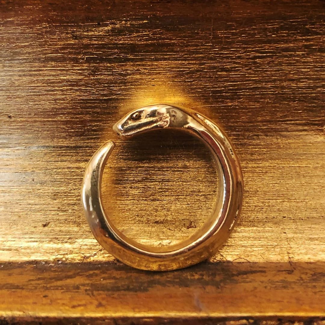 Uroboros Ring - Etsy