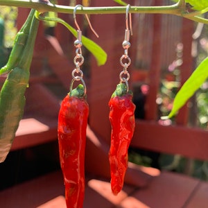 Hot Pepper Earrings | Real Dried Peppers | Resin Earrings | Jewelry - Etsy