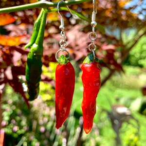 Hot Pepper Earrings | Real Dried Peppers | Resin Earrings | Jewelry - Etsy