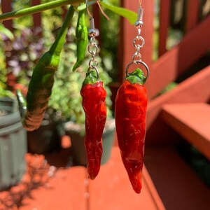 Hot Pepper Earrings | Real Dried Peppers | Resin Earrings | Jewelry - Etsy