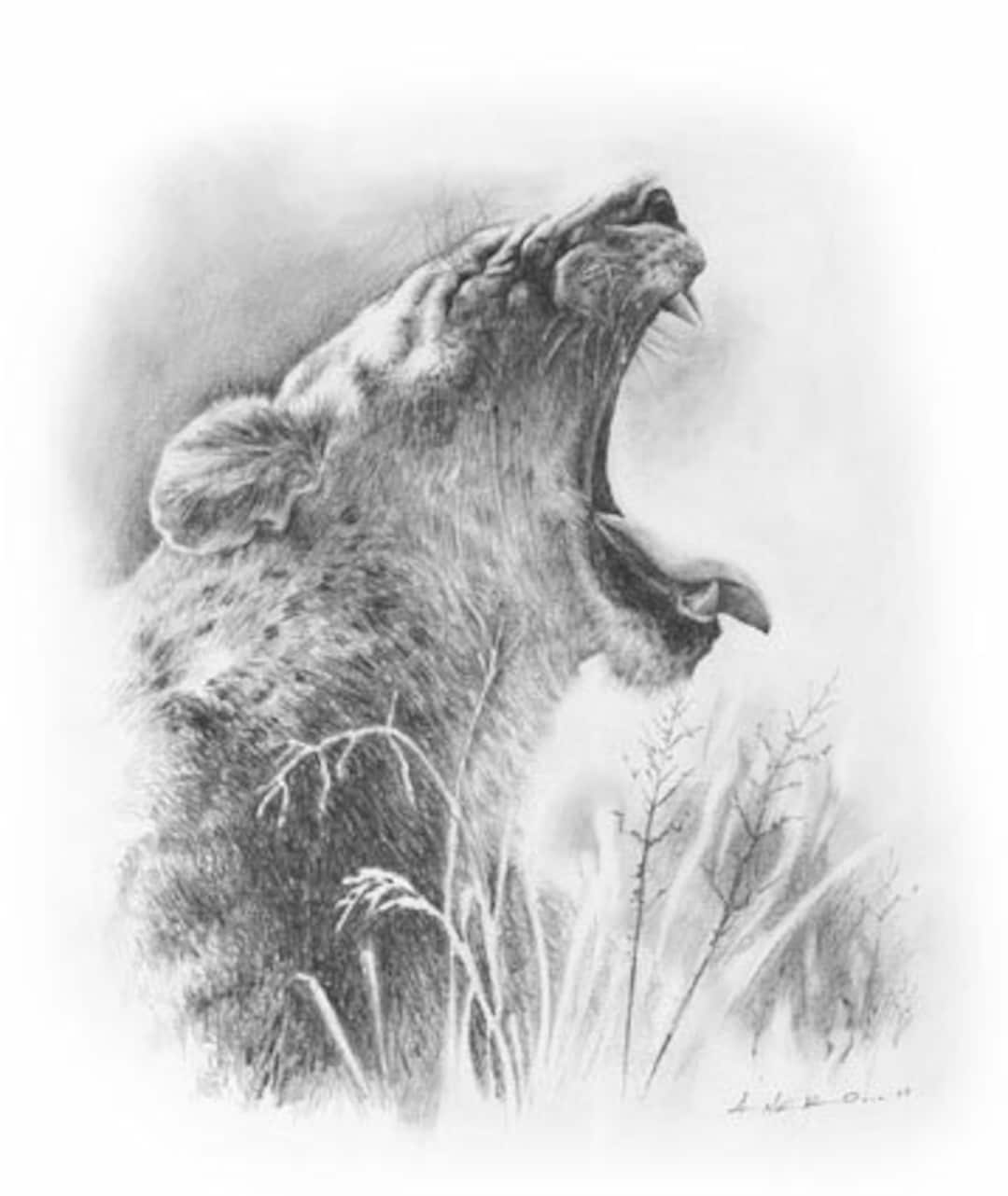 Lion Drawing Fine Art Print - Etsy