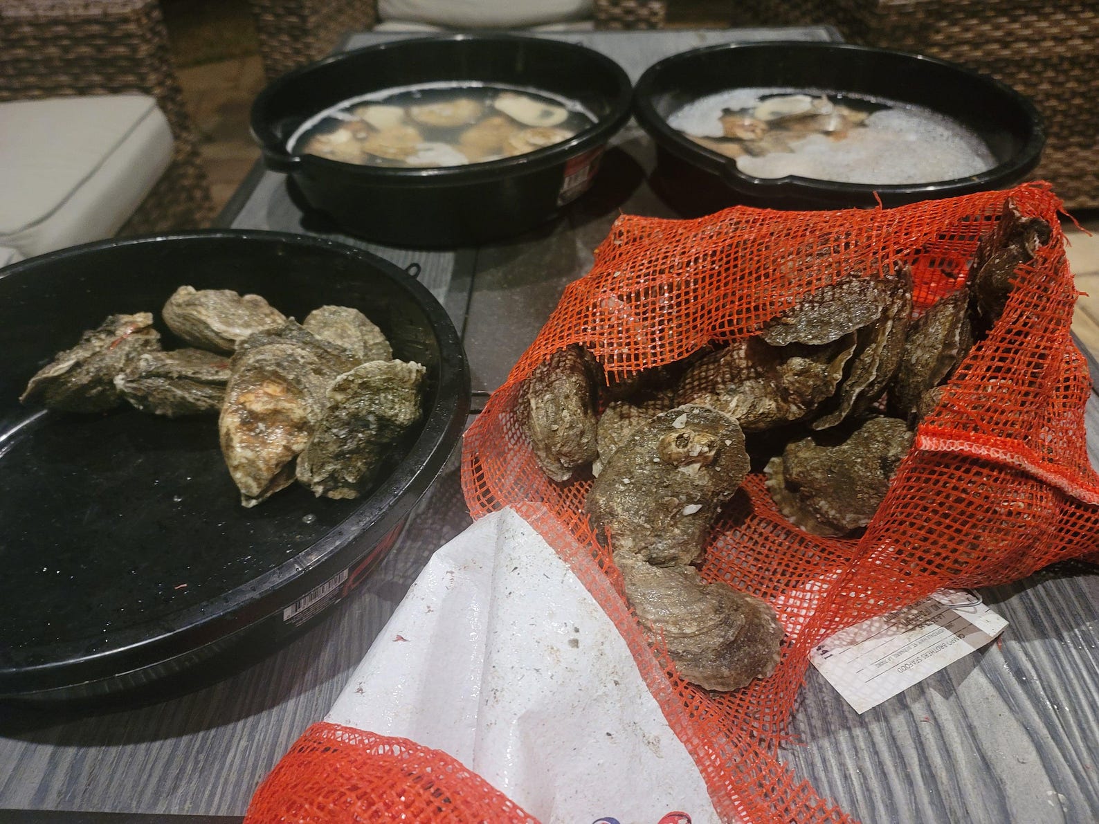 New Orleans Mardi Gras Marching Dance Team Majoretteboots Decoupaged ...