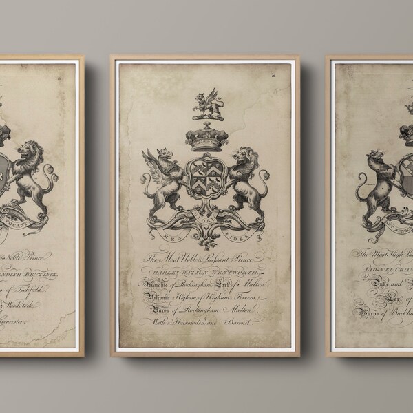 Armorial - Etsy