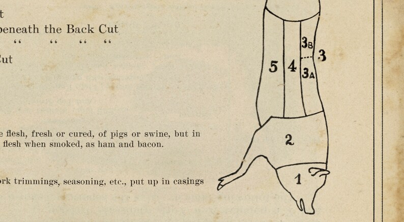 Pig Butcher Cut Print - Butcher Diagram - Butcher Cuts Art - Pork ...