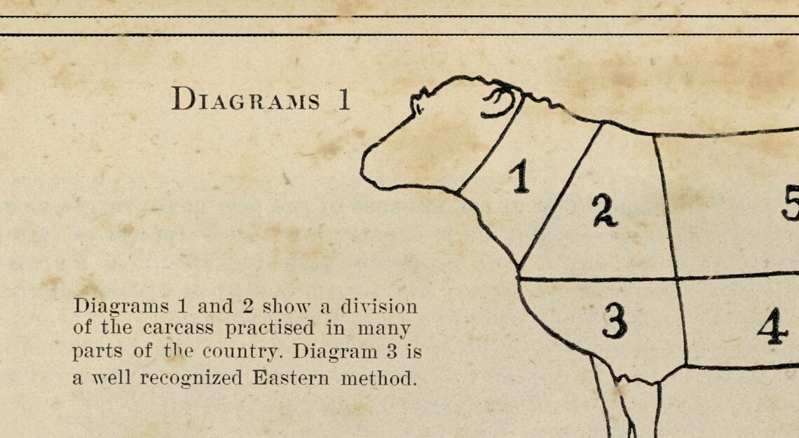 Lamb Butcher Cut Print - Butcher Diagram - Butcher Cuts Art - Sheep ...