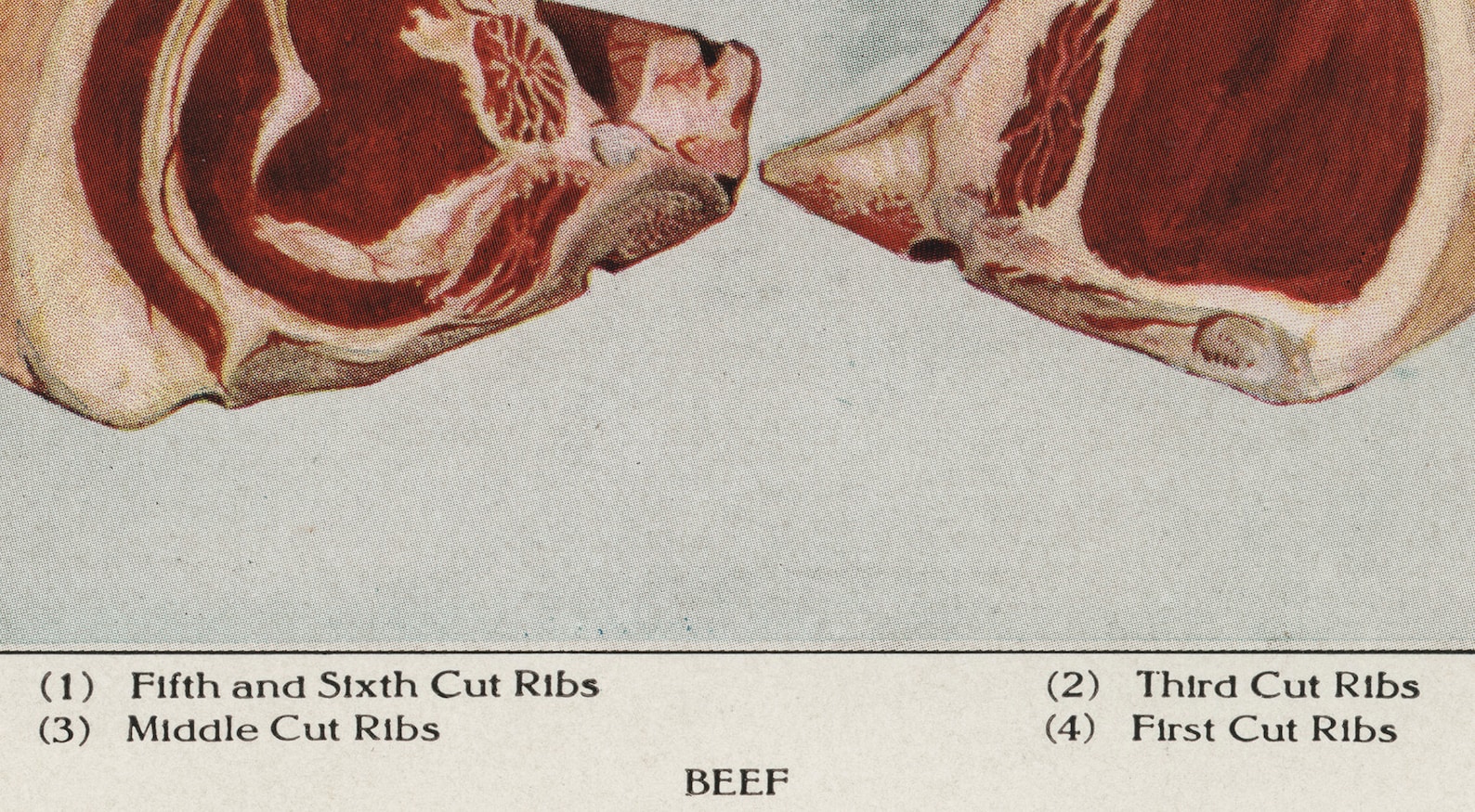 Meat Cut Print Beef Cut Art Grilling Art Ranch Decor | Etsy