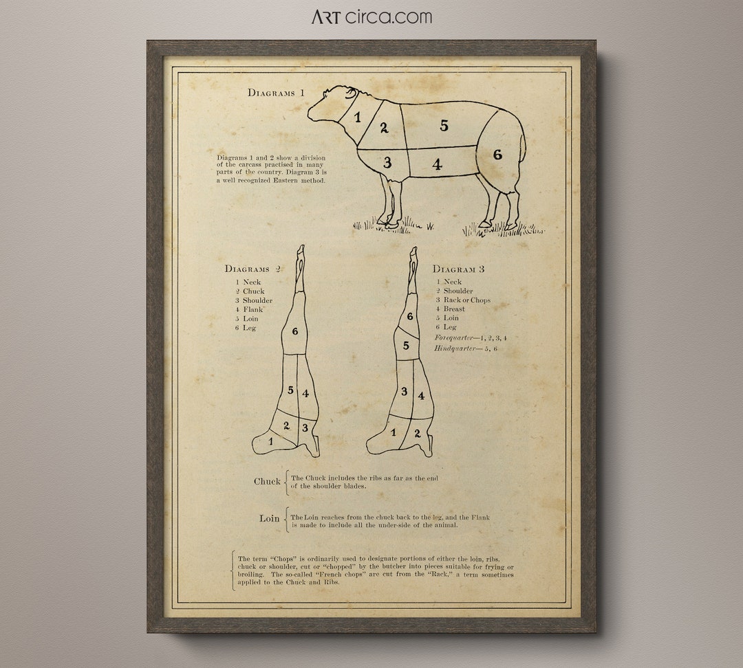 Lamb Butcher Cut Print - Butcher Diagram - Butcher Cuts Art - Sheep ...