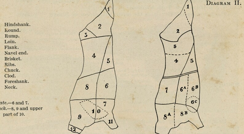 Butcher Cut Print Butcher Diagram Butcher Cuts Art Beef - Etsy UK