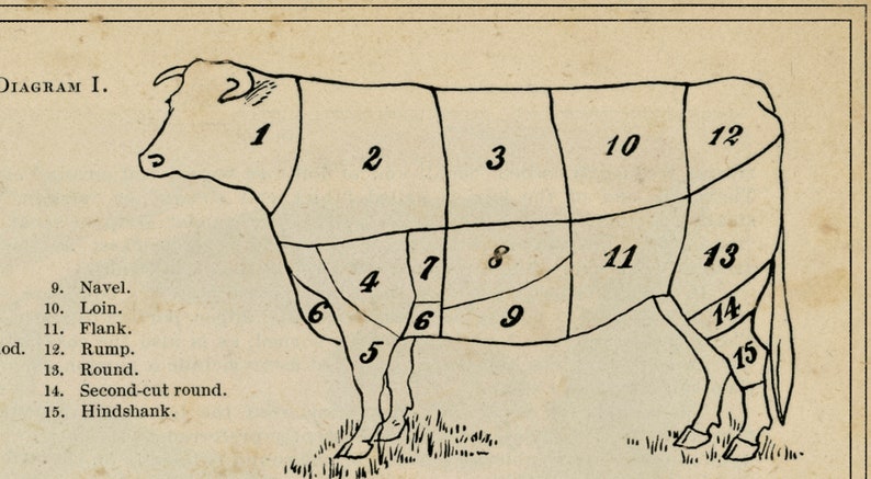 Butcher Cut Print Butcher Diagram Butcher Cuts Art Beef | Etsy