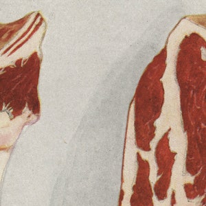 Meat Cut Print - Beef Cut Art - Grilling Art - Ranch Decor - Chef Art ...