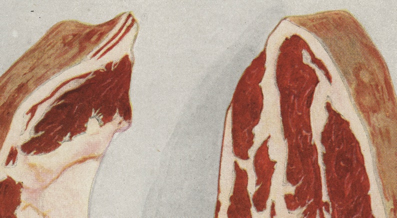 Meat Cut Print - Beef Cut Art - Grilling Art - Ranch Decor - Chef Art ...
