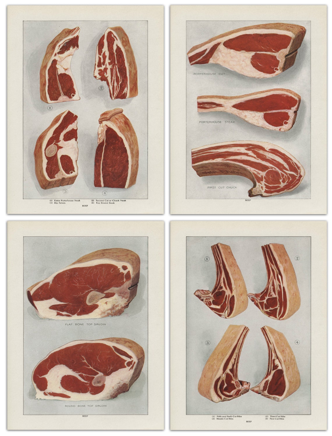Meat Cut Print - Beef Cut Art - Grilling Art - Ranch Decor - Chef Art ...