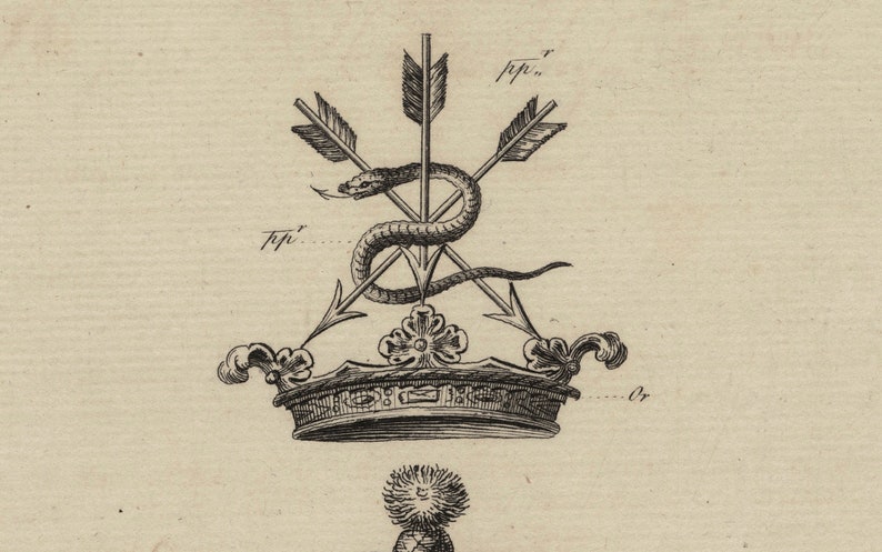 Coat of Arms Print 8 : Family Crest 18th C. English - Etsy UK