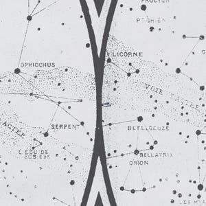 Nursery Star Map : Vintage French Constellation Map - Constellation Map ...