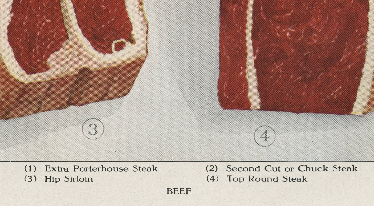 Meat Cut Print Beef Cut Art Grilling Art Ranch Decor - Etsy