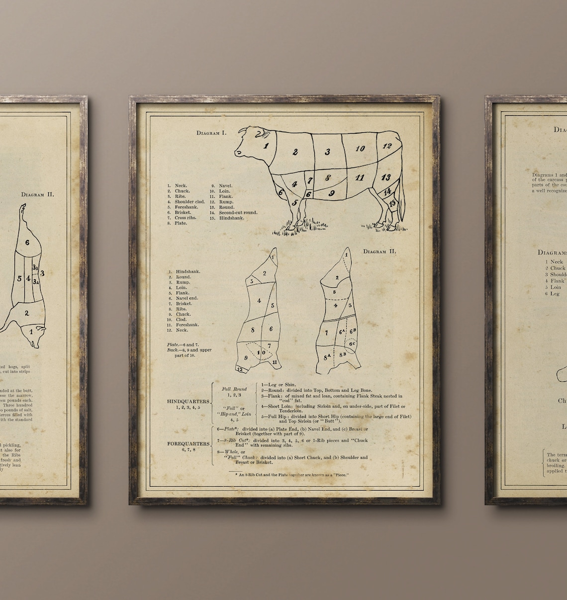 Butcher Cut Print Butcher Diagram Butcher Cuts Art Beef - Etsy