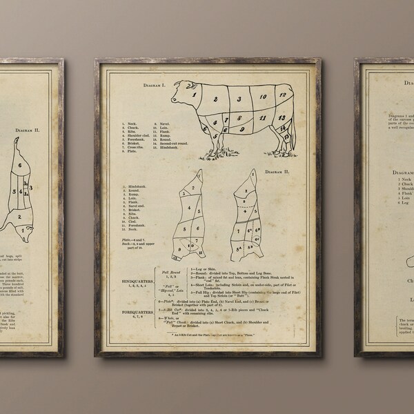 Butcher Chart - Etsy