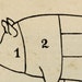 Pig Butcher Cut Print - Butcher Diagram - Butcher Cuts Art - Pork ...
