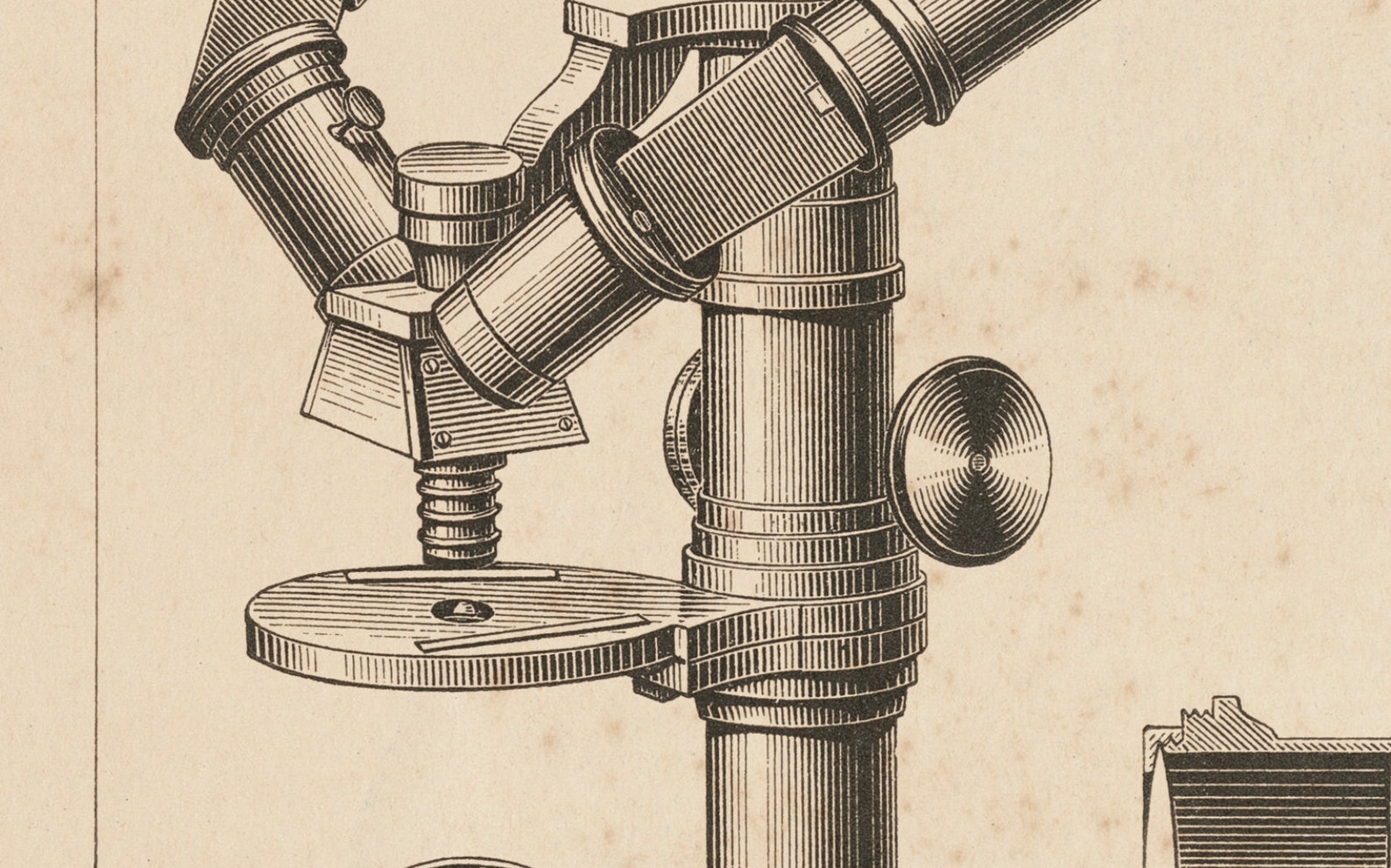 Science Art : Vintage Microscopes Art Biology Art - Etsy