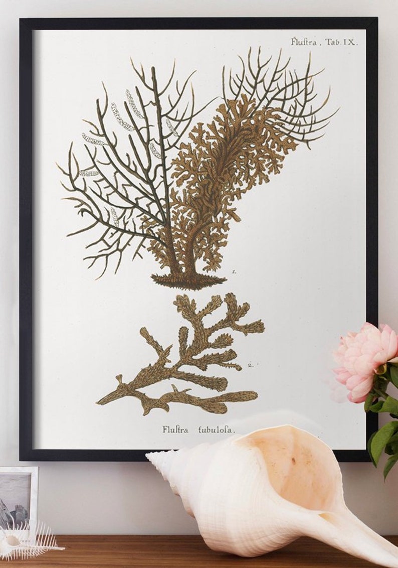 Sea Coral Art #6 : Coral Decor Art - Sea Coastal Wall Print - Bathroom ...