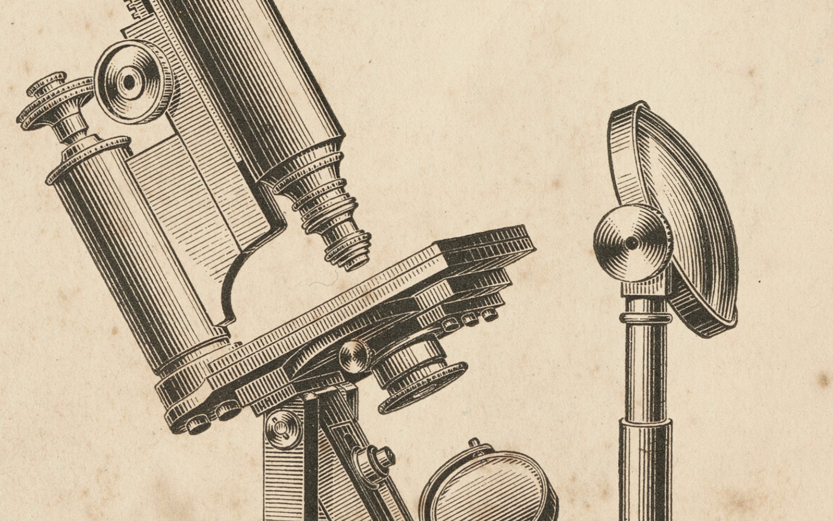 Science Art : Vintage Microscopes Art Biology Art | Etsy