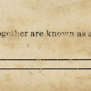 Butcher Cut Print - Butcher Diagram - Butcher Cuts Art - Beef Cuts ...