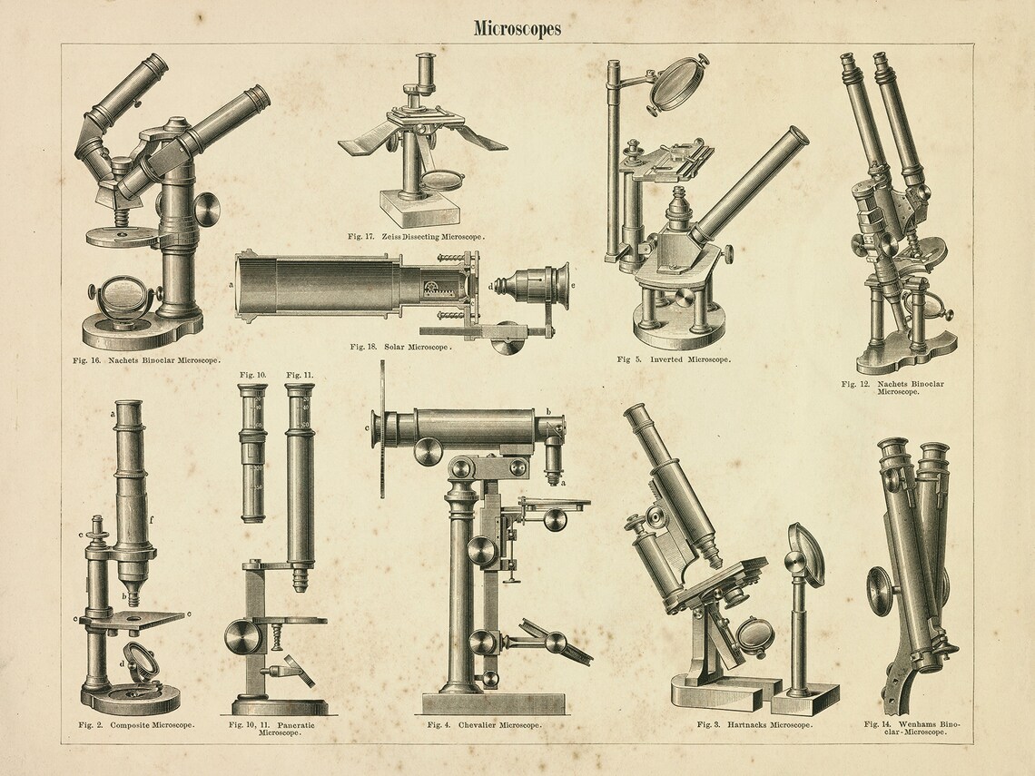Science Art : Vintage Microscopes Art Biology Art | Etsy