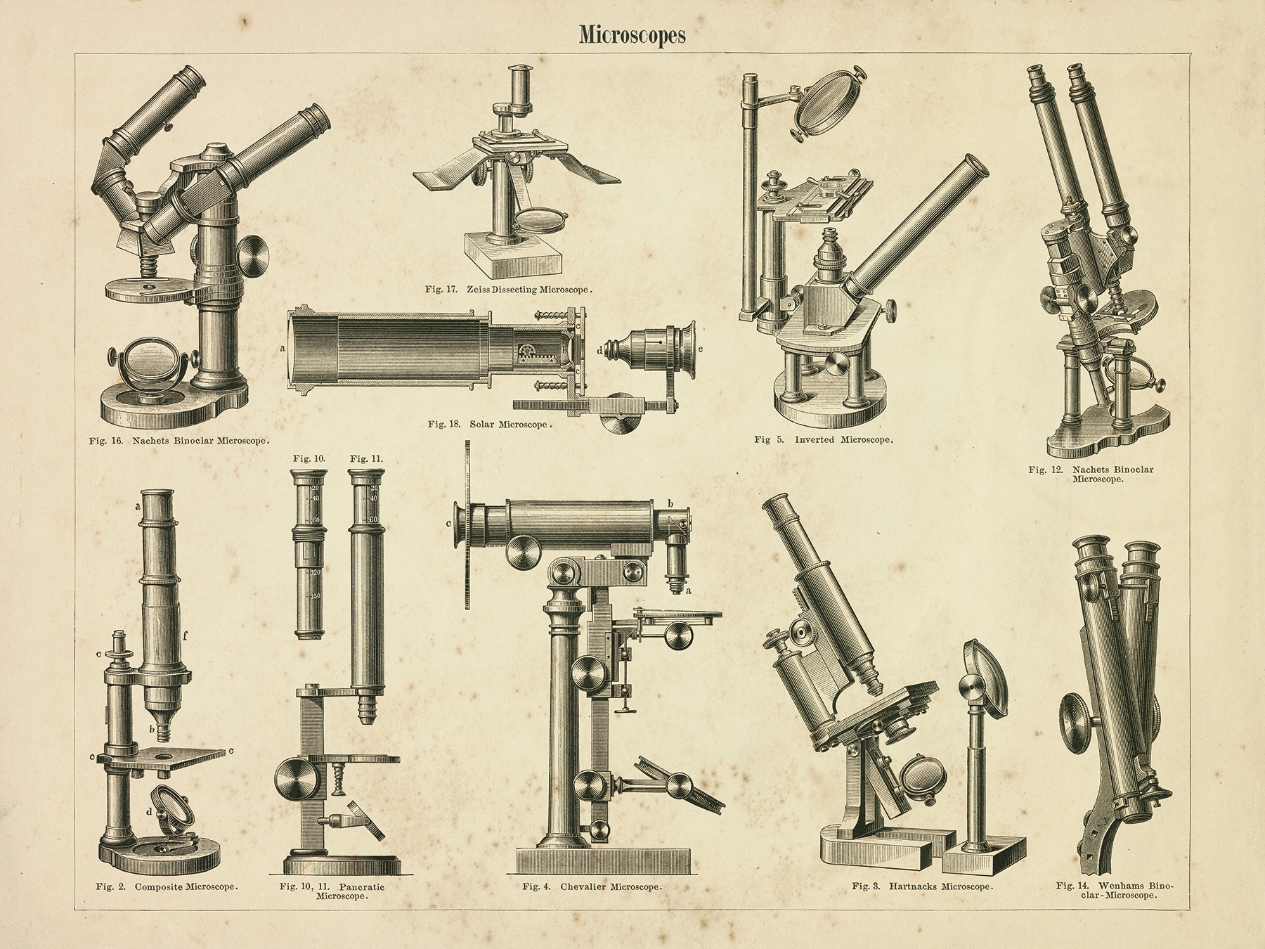 Science Art : Vintage Microscopes Art Biology Art | Etsy